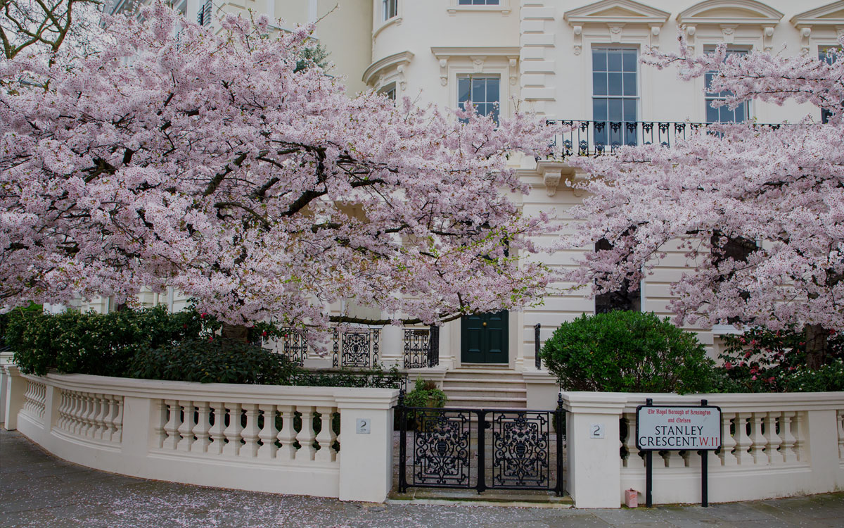 Agency 21 - Estate Agent & Letting Agent in London